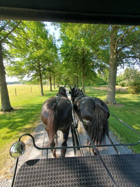 Gettysburg: Horse-Drawn Carriage Tour Countryside & Orchards - Key Points