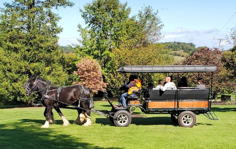 Gettysburg: Horse-Drawn Carriage Tour Countryside & Orchards - Authenticity and Reviews