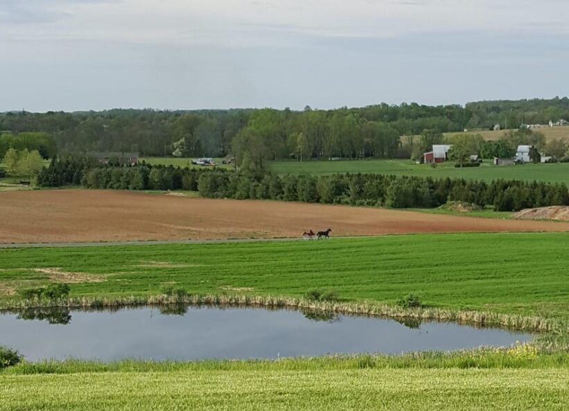 Gettysburg: Horse-Drawn Carriage Tour Countryside & Orchards - FAQ