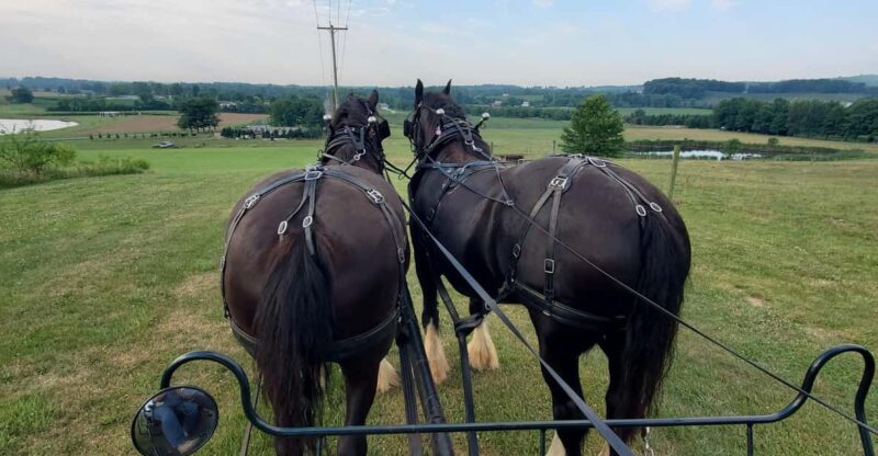 Gettysburg: Horse-Drawn Carriage Tour Countryside & Orchards - The Itinerary and What You Can Expect