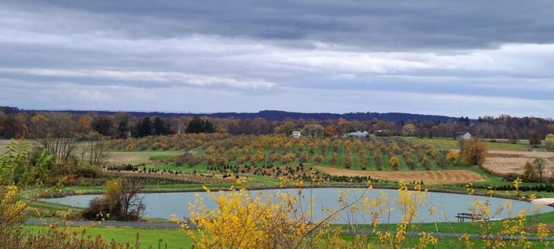 Gettysburg: Horse-Drawn Carriage Tour Countryside & Orchards - The Sum Up: Who Should Consider This Tour?