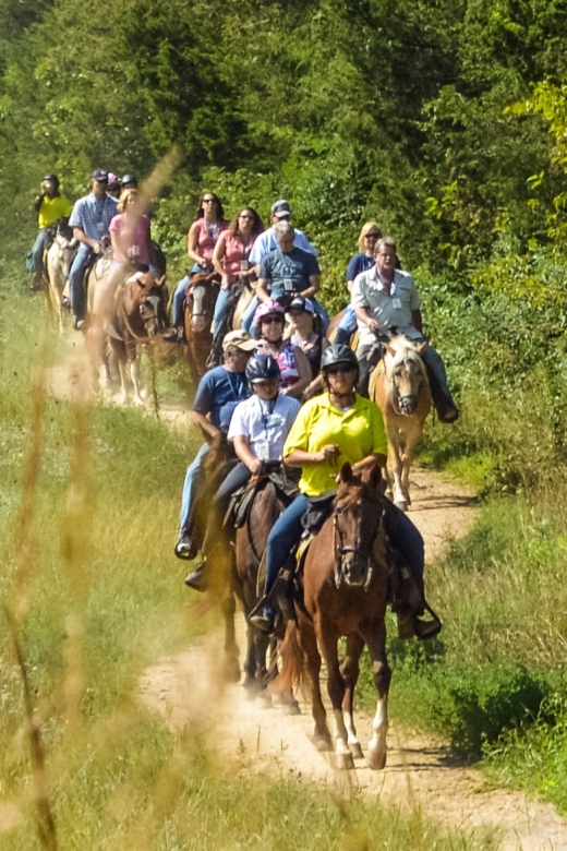 Gettysburg: Licensed Guided Battlefield Horseback Tour - Introduction
