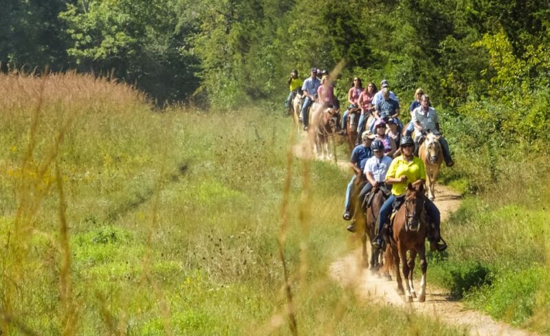 Gettysburg: Licensed Guided Battlefield Horseback Tour - A Closer Look at the Gettysburg Horseback Experience