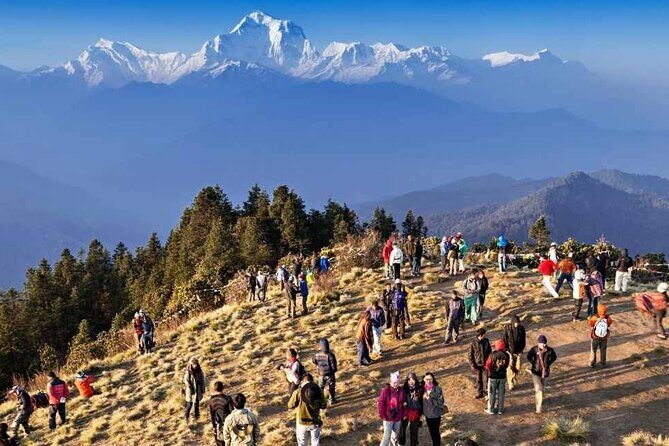 Ghorepani Poon hill Circuit Trek in 5 days - The Value of This Trek