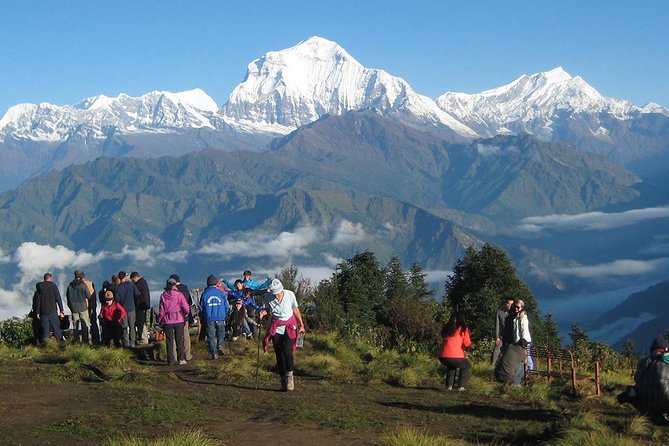 Ghorepani - Poon Hill Trek 3N-4D - Why the Tour Offers Good Value