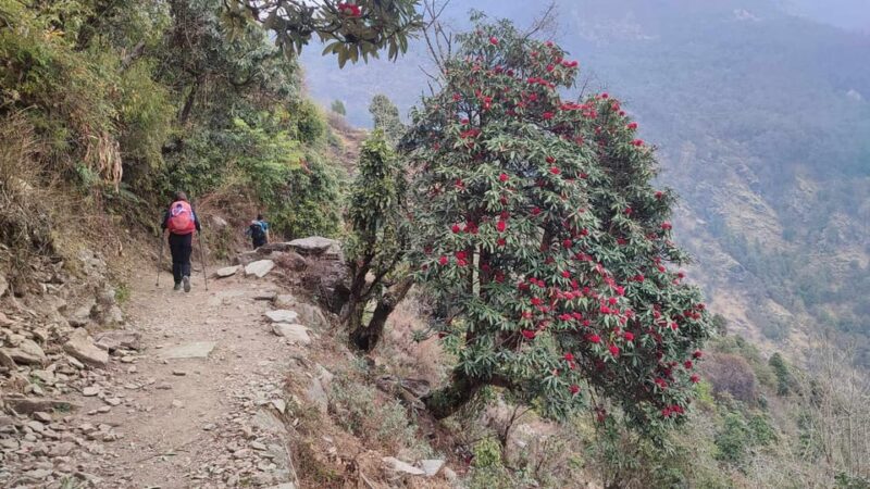 Ghorepani Poon Hill Trek - 4 Days (Full Package) - The Sum Up