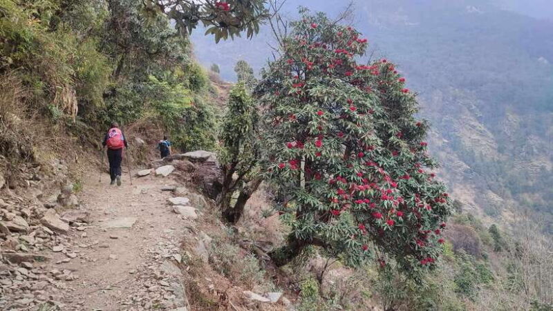 Ghorepani Poon Hill Trek - 4 Days (Full Package) - FAQ