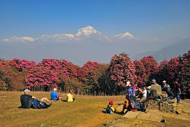 Ghorepani Poon Hill Trek - What Travelers Say About Their Guides
