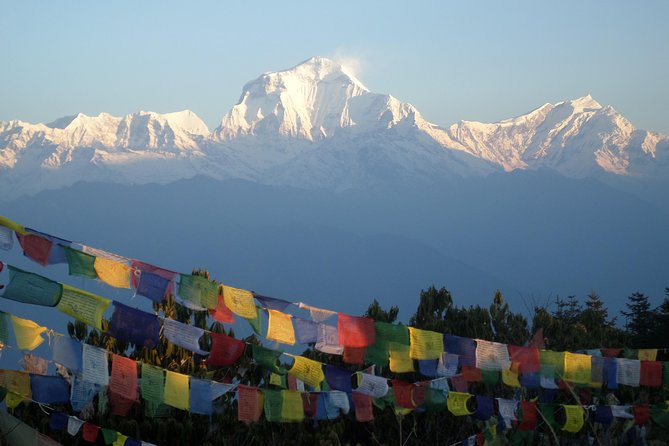 Ghorepani Poon Hill Trek - Value and Cost Analysis