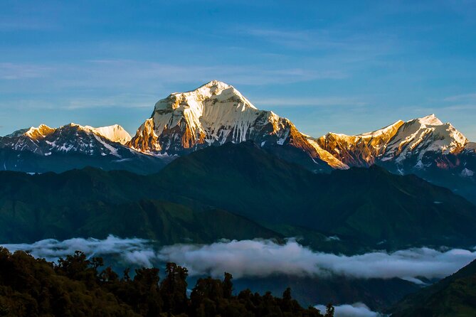 Ghorepani - Poon Hill Trek  5 DAYS - Transport and Logistics