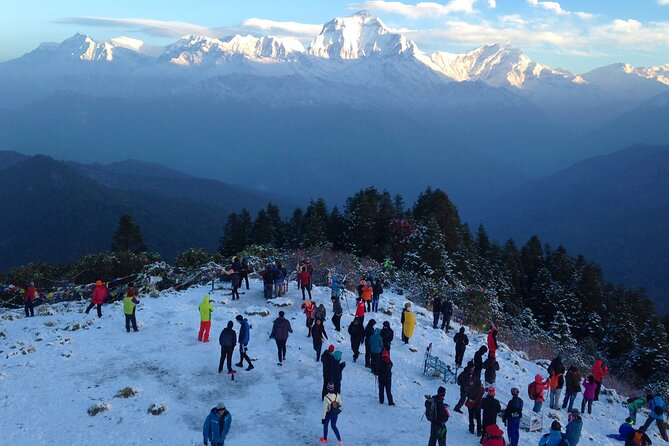 Ghorepani - Poon Hill Trek  5 DAYS - Reviews and Feedback