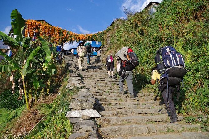 Ghorepani Poon Hill Trekking - What Makes This Trek Special?