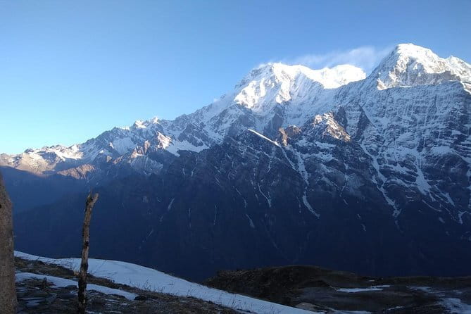 Ghorepani Poonhill Trek - Introducing the Ghorepani Poonhill Trek: A Beginner-Friendly Himalayan Adventure