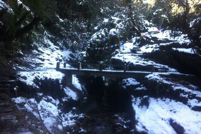 Ghorepani Poonhill Trek - What the Tour Includes and What to Consider