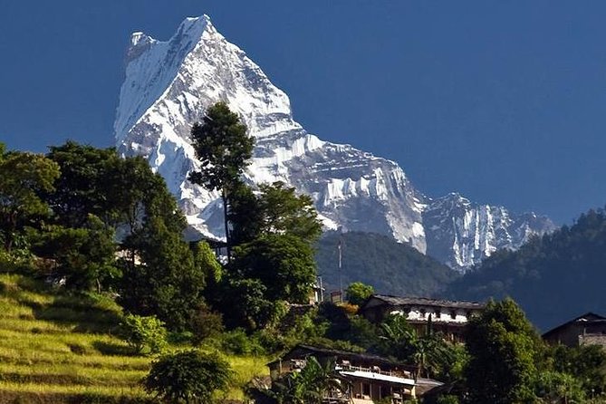 Ghorepani Poonhill Trek -8 Days - Ascending to Ghorepani & The Magic of Poonhill