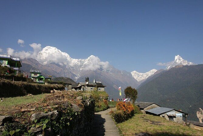 Ghorepani Poonhill Trek from Kathmandu | Best Short Trek in Nepal - Real Traveler Feedback