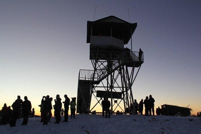 Ghorepani Poonhill Trek from Pokhara - 4 Days - Day 2: Forests and Scenic Landscapes