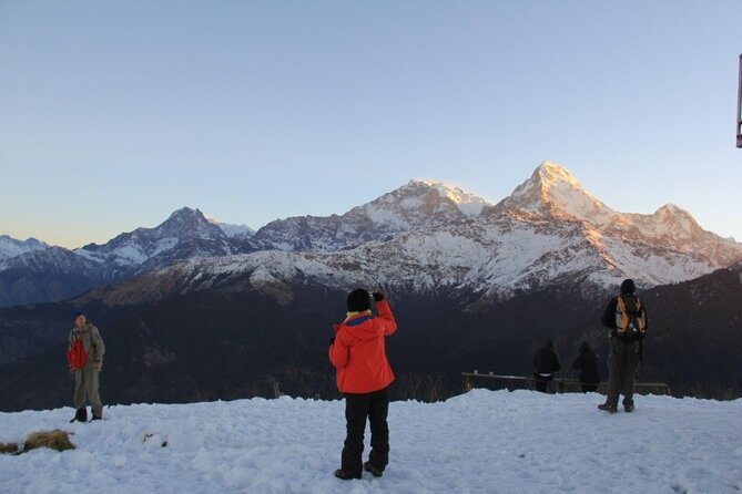 Ghorepani Poonhill Trek from Pokhara - 4 Days - Day 4: Descend and Return to Pokhara