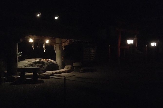 Ghost Stories and Nightlife Tour of Takayama (Private Tour - Price per Group) - Accessibility