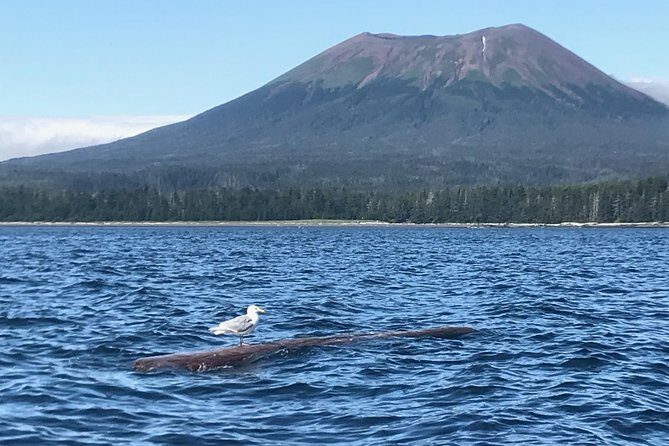 Ghosts of Historic Sitka - Walking Tour - A Closer Look at the Ghosts of Sitka Tour
