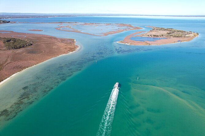 Giant and Dolphin Sightseeing Cruise in Mandurah - Who Should Consider This Tour?