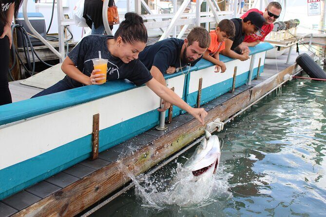 Giant Tarpon Fish Feeding Experience in Bayside Marketplace - Introduction