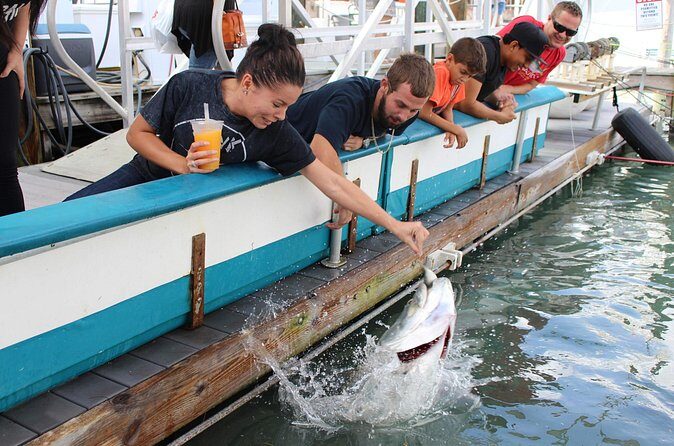 Giant Tarpon Fish Feeding Experience in Bayside Marketplace - Pricing, Duration, and Group Size