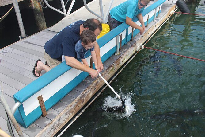 Giant Tarpon Fish Feeding Experience in Bayside Marketplace - Authentic Perspectives from Visitors