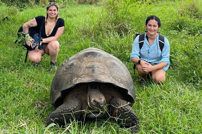 Giant Turtle Watching and Lava Tunnels Tour - Tour Schedule and Pricing
