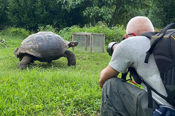 Giant Turtle Watching and Lava Tunnels Tour - Safety and Accessibility