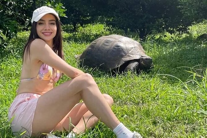 Giant Turtle Watching and Lava Tunnels Tour - Traveler Feedback and Suggestions