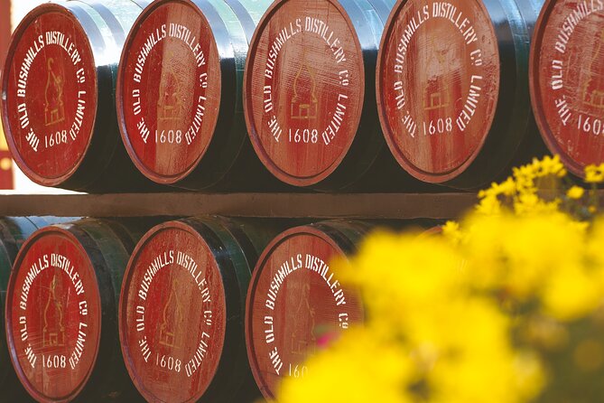 Giants Causeway and Belfast City Murals Tour Inc Game of Thrones Dark Hedges - Whiskey Tasting at Bushmills Distillery