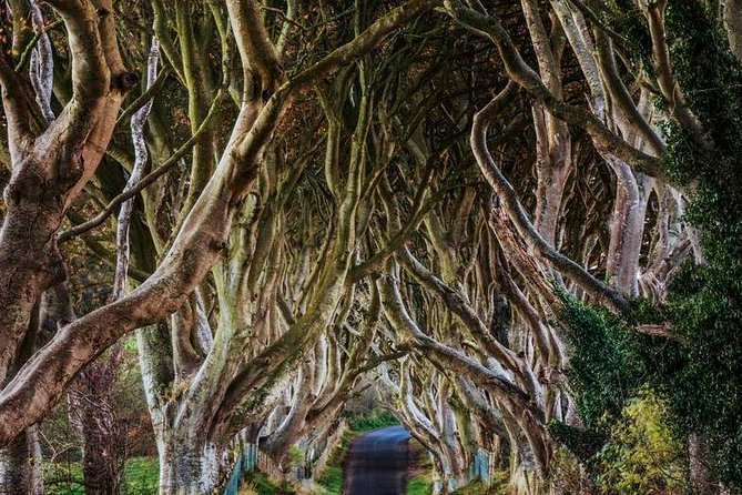 Giants Causeway Full Day Tour From Belfast - Meeting Information and Logistics