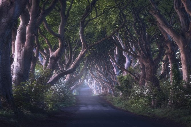 Giants Causeway & Game of Thrones Tour From Belfast - Filming Locations and Their Significance