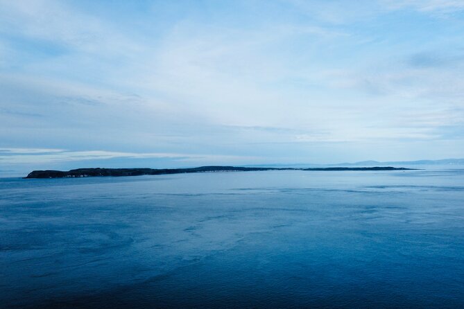 Giants Causeway Private Tour From Belfast - Traveling in Comfort and Convenience