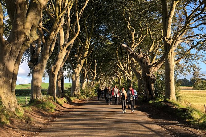 Giants Causeway, Rope Bridge, Carrickfergus Castle and Dark Hedges Tour - Booking Information
