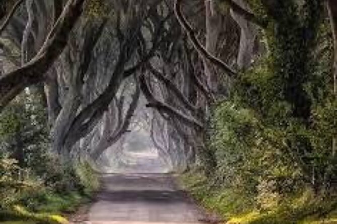 Giants Causeway Tour From Belfast including Game of thrones sites - Analyzing the Value