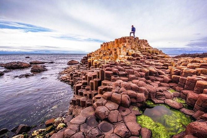 Giants Causeway Tour From Belfast - Luxury Bus + Castles Tour - The Dark Hedges