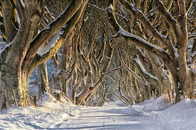 Giant's Causeway with the Titanic Exhibition and the best of Northern Ireland - Transportation, Logistics, and Practical Tips