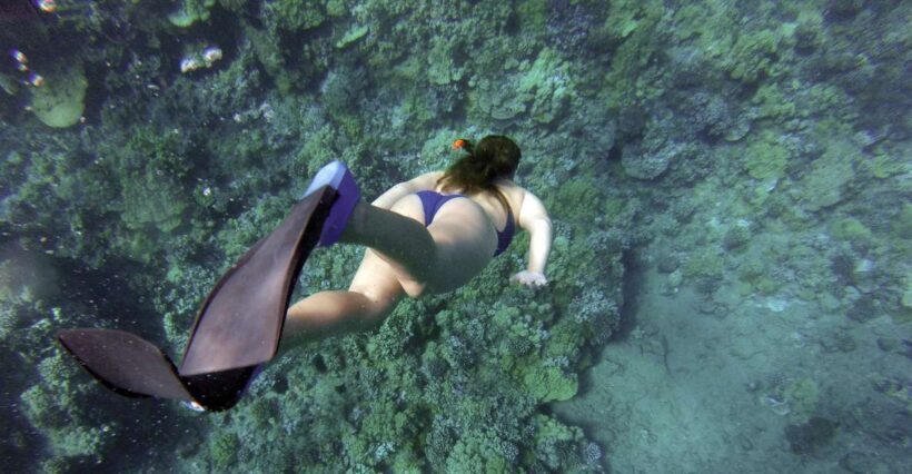Giardini Naxos: Isola Bella Marine Park Snorkeling Cruise - An In-Depth Look at the Snorkeling Cruise Experience