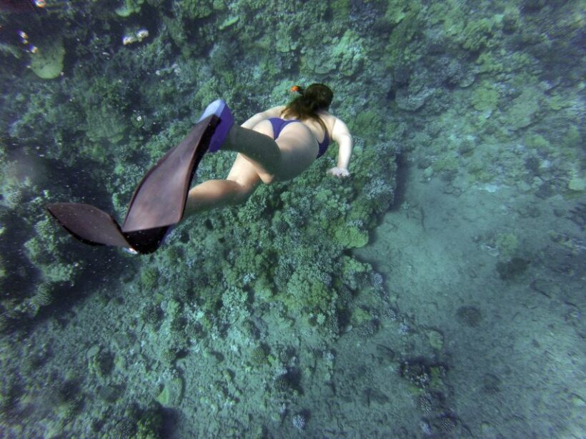 Giardini Naxos: Isola Bella Marine Park Snorkeling Cruise - Frequently Asked Questions