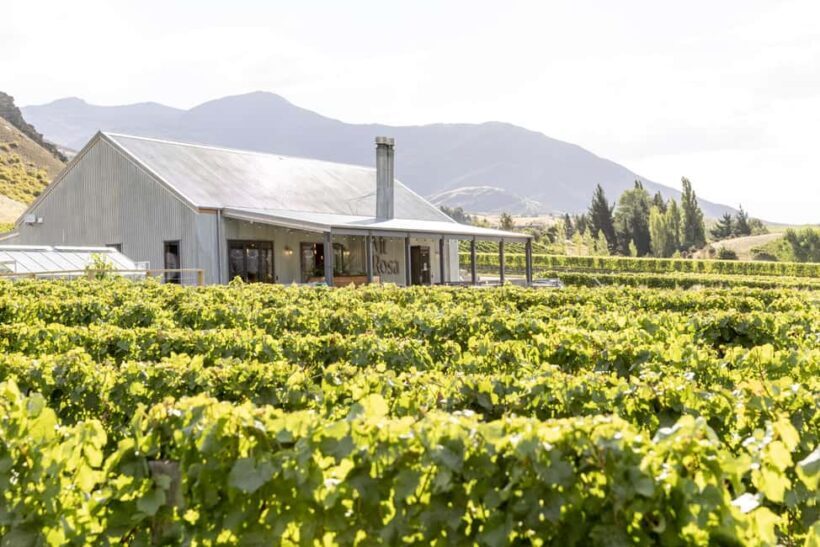 Gibbston: Mt Rosa Wine Tasting Experience - Discovering the Mt Rosa Wine Tasting Experience