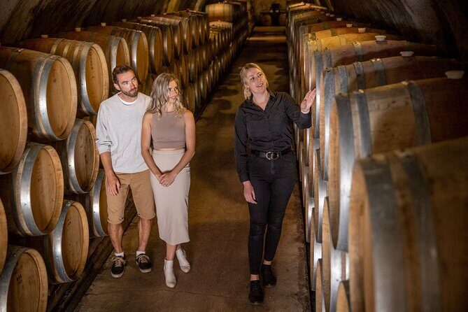 Gibbston Valley Wines - Cave Tour - An In-Depth Look at the Gibbston Valley Cave Tour
