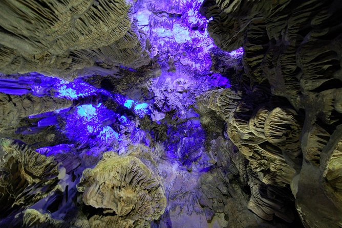 Gibraltar Day Trip From Seville - Inclusions and Transportation