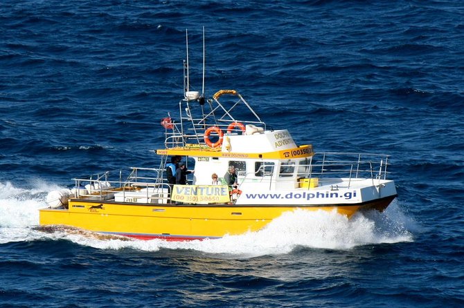 Gibraltar Dolphin Adventure - Customer Feedback and Experiences