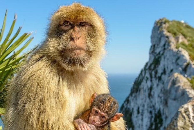 Gibraltar Inside Out Standard Tour 1.45hrs - Customer Feedback