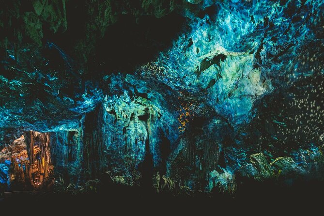 Gibraltar Nature Reserve Admission Pass to All Attractions - The Experience and Visitor Feedback