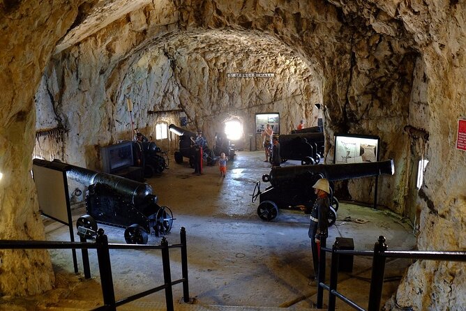 Gibraltar Private Tour From Malaga and Surronding Areas - Customer Experiences and Feedback