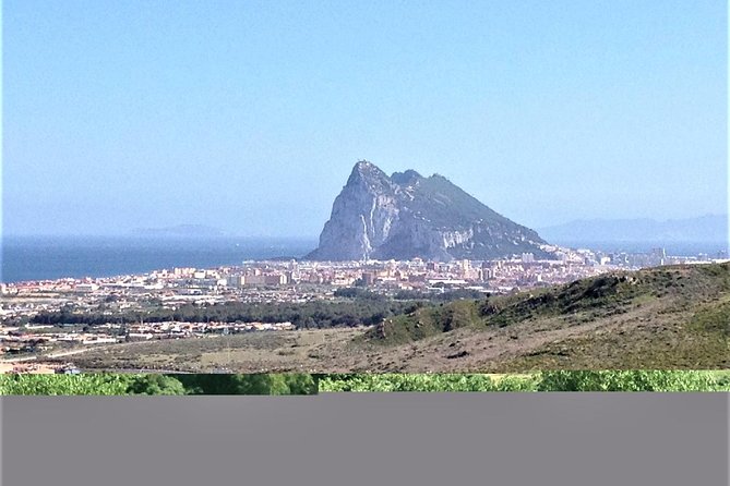 Gibraltar Private Tour From Marbella or Malaga - Pricing and Booking