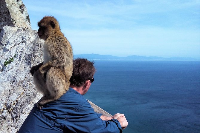 Gibraltar Private Tour From Marbella or Malaga - Highlights of the Gibraltar Tour